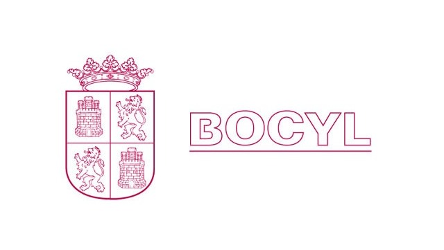 El Boletín Oficial de Castilla y León se moderniza | Sahagún Digital ...